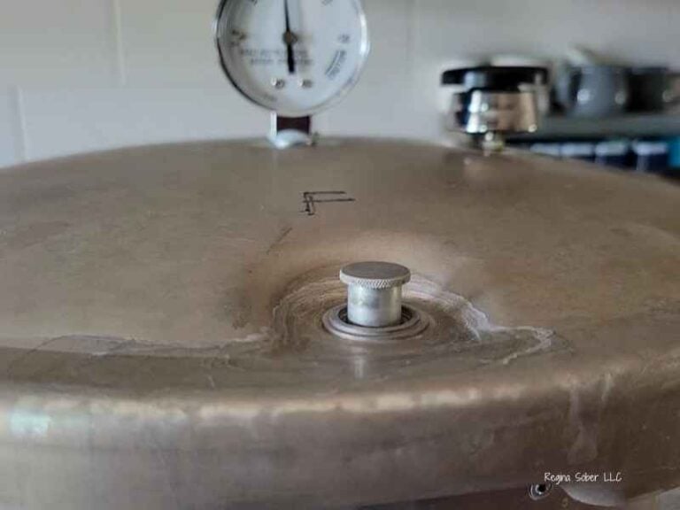 Processing Chicken Stock In Instant Pot for Canning