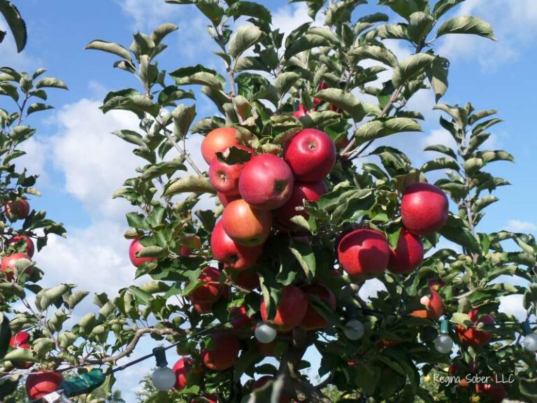 Must see unique, strange and fun festivals to visit in Michigan