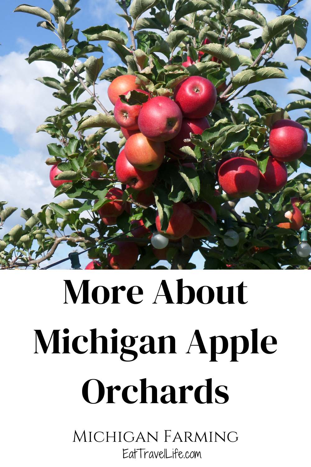 How Do You Like Them Fresh Michigan Apples? - Eat Travel Life