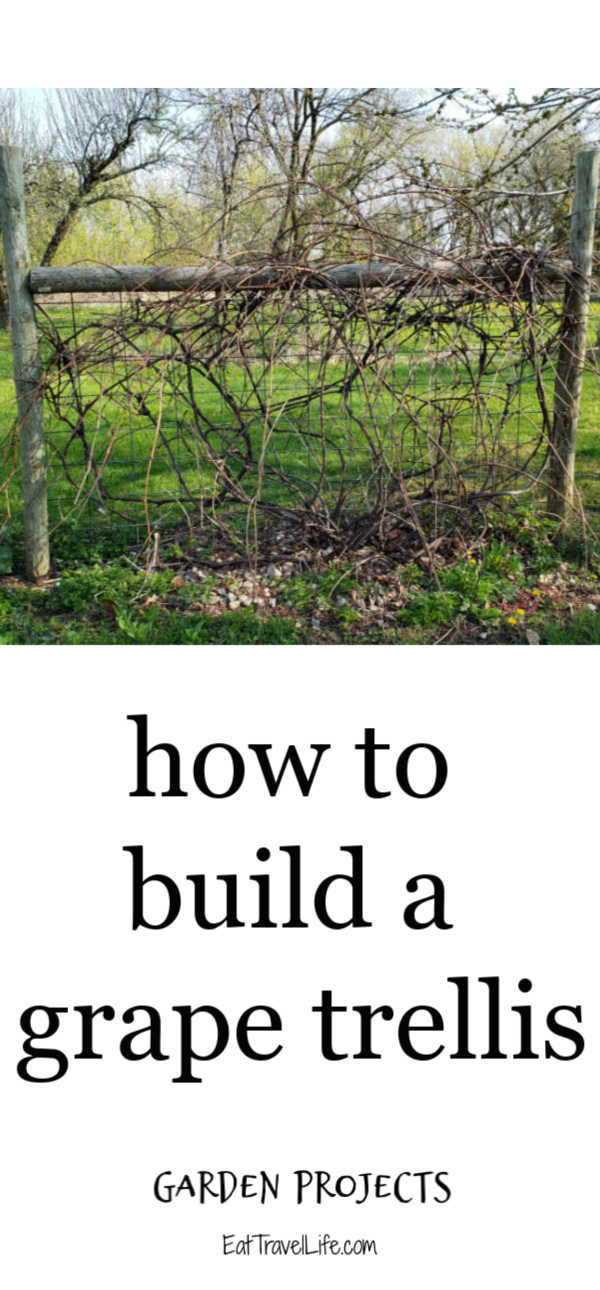 How to Build a Grape Trellis - Eat Travel Life