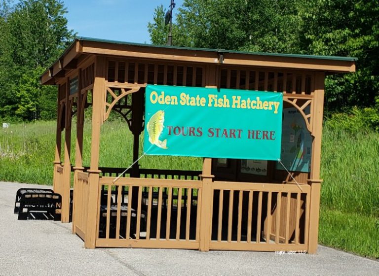 take a tour of Oden Michigan's Fishing Hatchery - Eat Travel Life