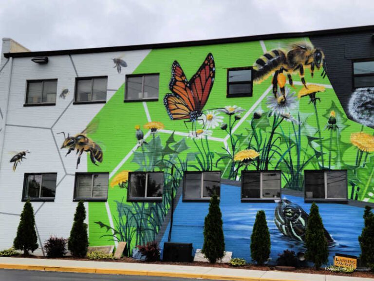 35+ Street Art Murals in Lansing Michigan