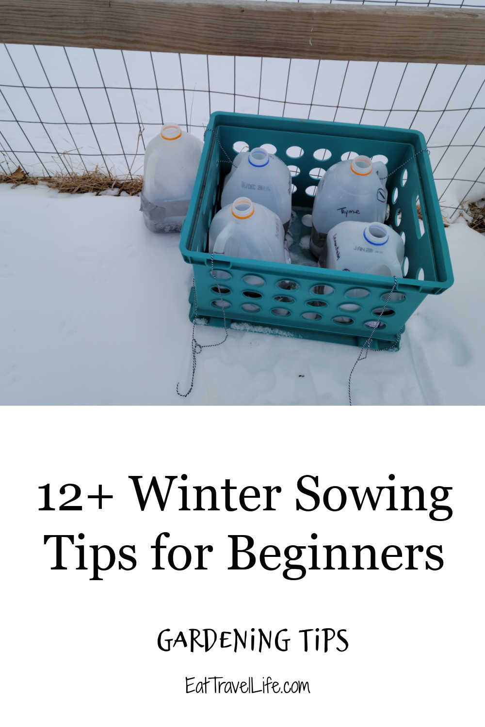 12+ Beginner Winter Sowing Tips/Lessons | Gardening