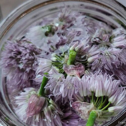How to Make Chive Vinegar - Eat Travel Life