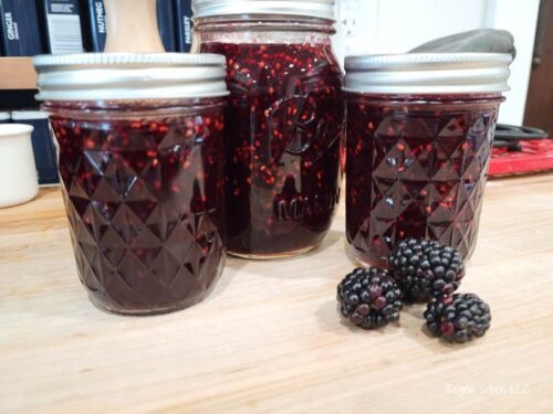 Small Batch Canning Blackberry Jam Recipe