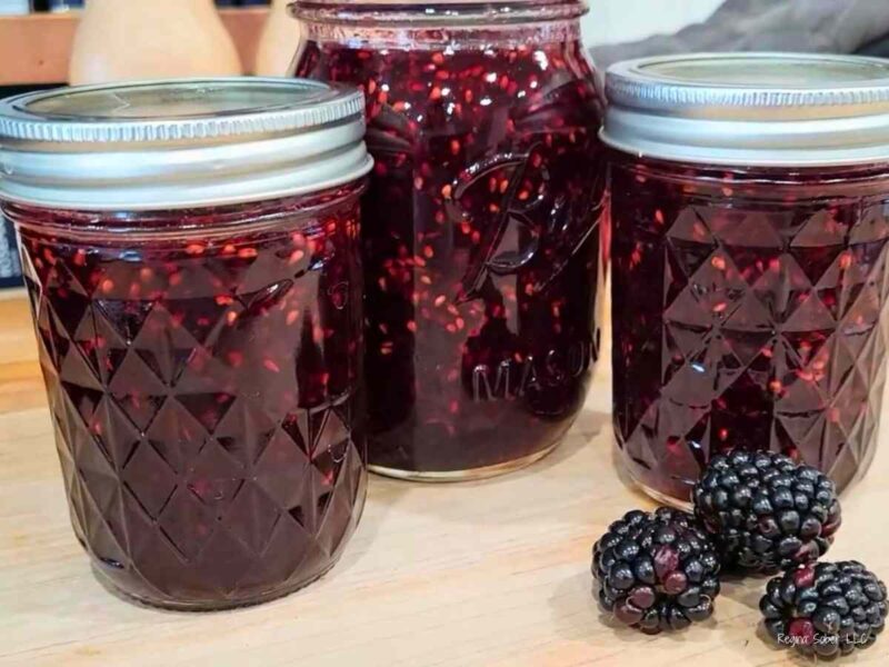 Small Batch Canning Blackberry Jam Recipe