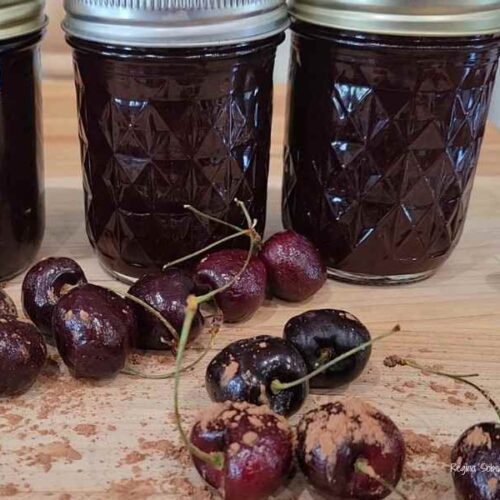 Best Homemade Cherry Chocolate Jam - Eat Travel Life