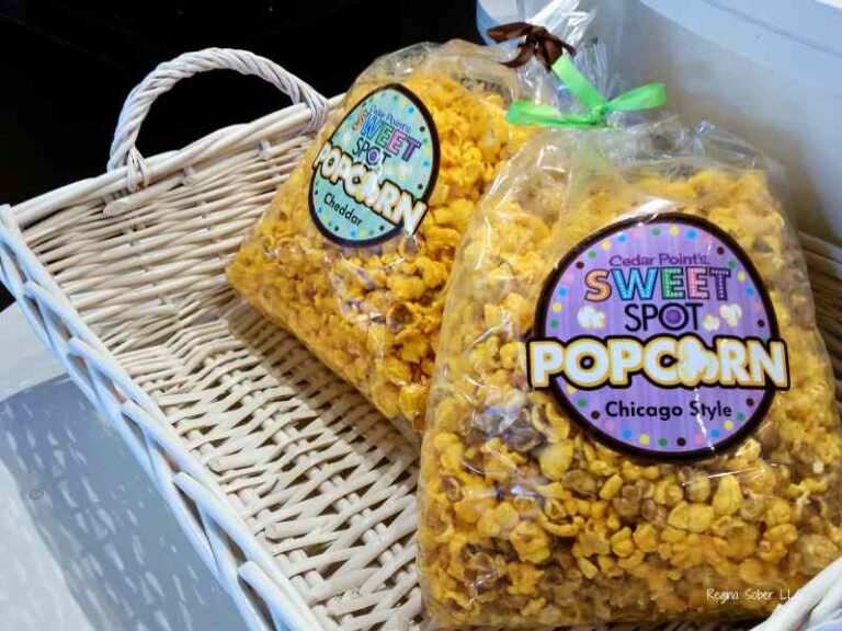 Tips For An Unforgettable Visit to Cedar Point - Eat Travel Life