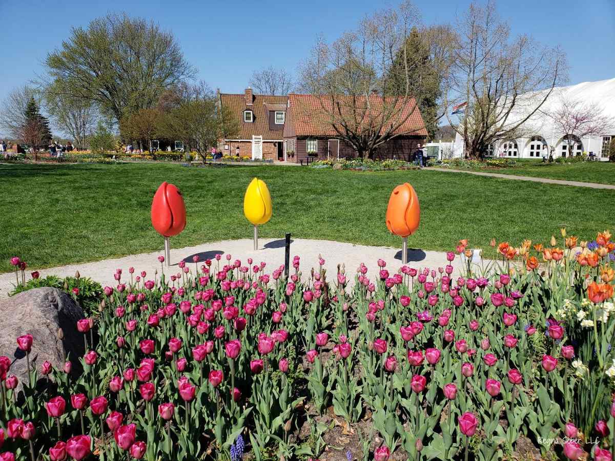 Experience the Tulip Time Festival in Holland Michigan