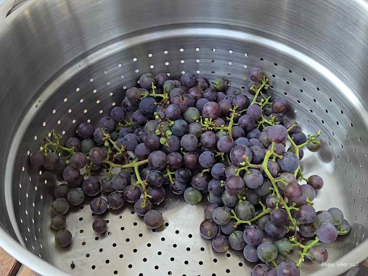 Steps for Making Grape Juice from Grapes Using a Steamer