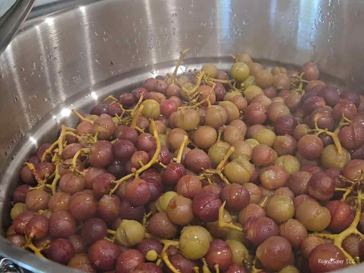 Steps for Making Grape Juice from Grapes Using a Steamer
