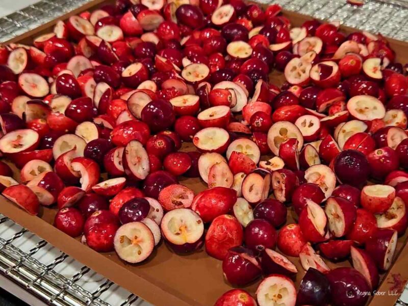 How To Dry Cranberries at Home | Dehydrated Cranberries